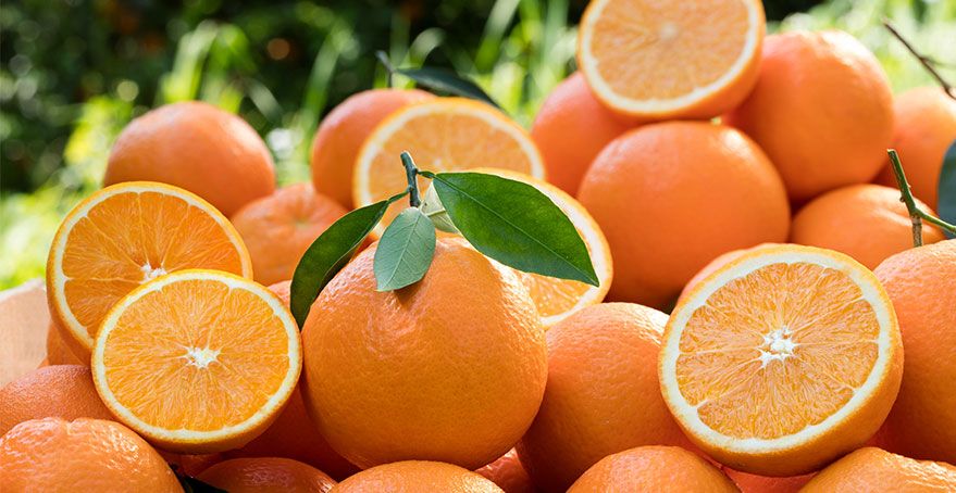 Best Oranges For Juicing