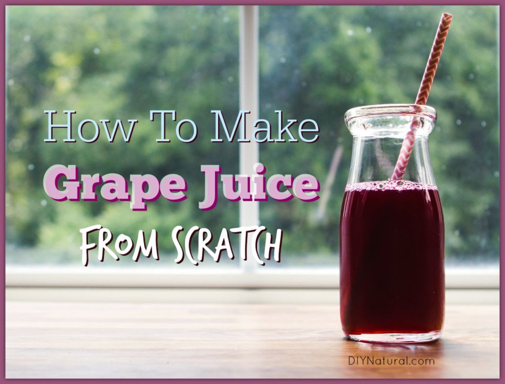 How To Make Grape Juice With A Juicer? - Crazy Juicer